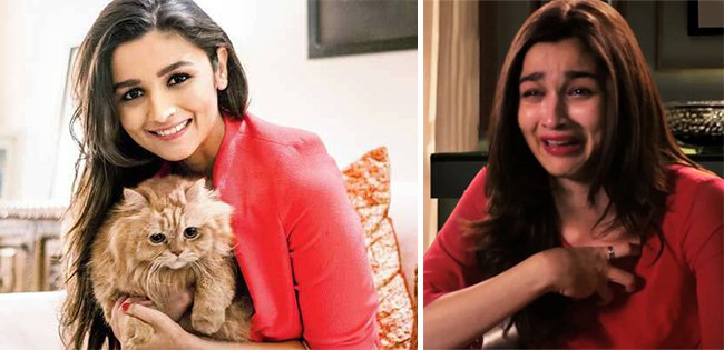 6 Similarities Between Cats And Girlfriends