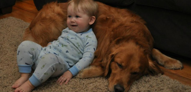 10 Reasons Every Child Should Have a Pet