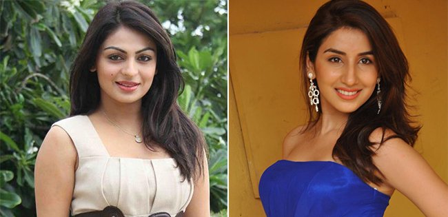 6 Punjabi Actresses Who Deserve A Chance In Bollywood
