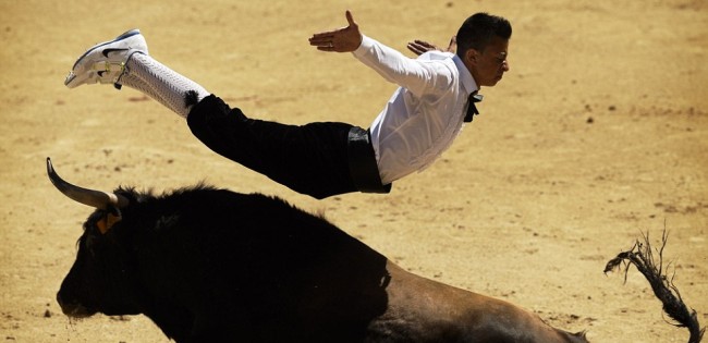 The Bull Is Colour Blind, The Lion Doesn't Hunt And Some More Reality ...