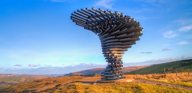 Bizarre & Amazing Musical Instruments You Never Knew Existed