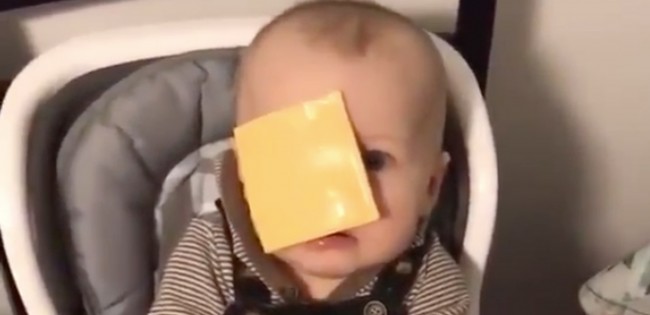 Did You Miss These Strange Stories From 2019?