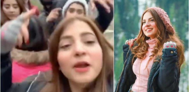 What Is a Pawri and Why Is It Trending?