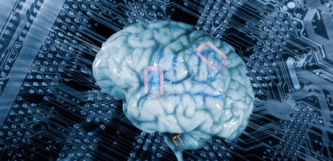 Is the Internet Making Us Smarter or Is It Making Us Lazy and Stupid?