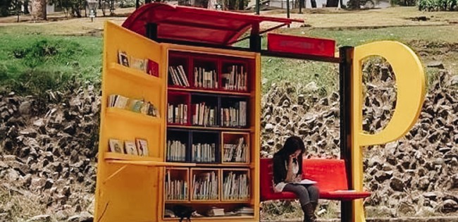 Transforming a Bus Stop into a Library? What a Great Idea!